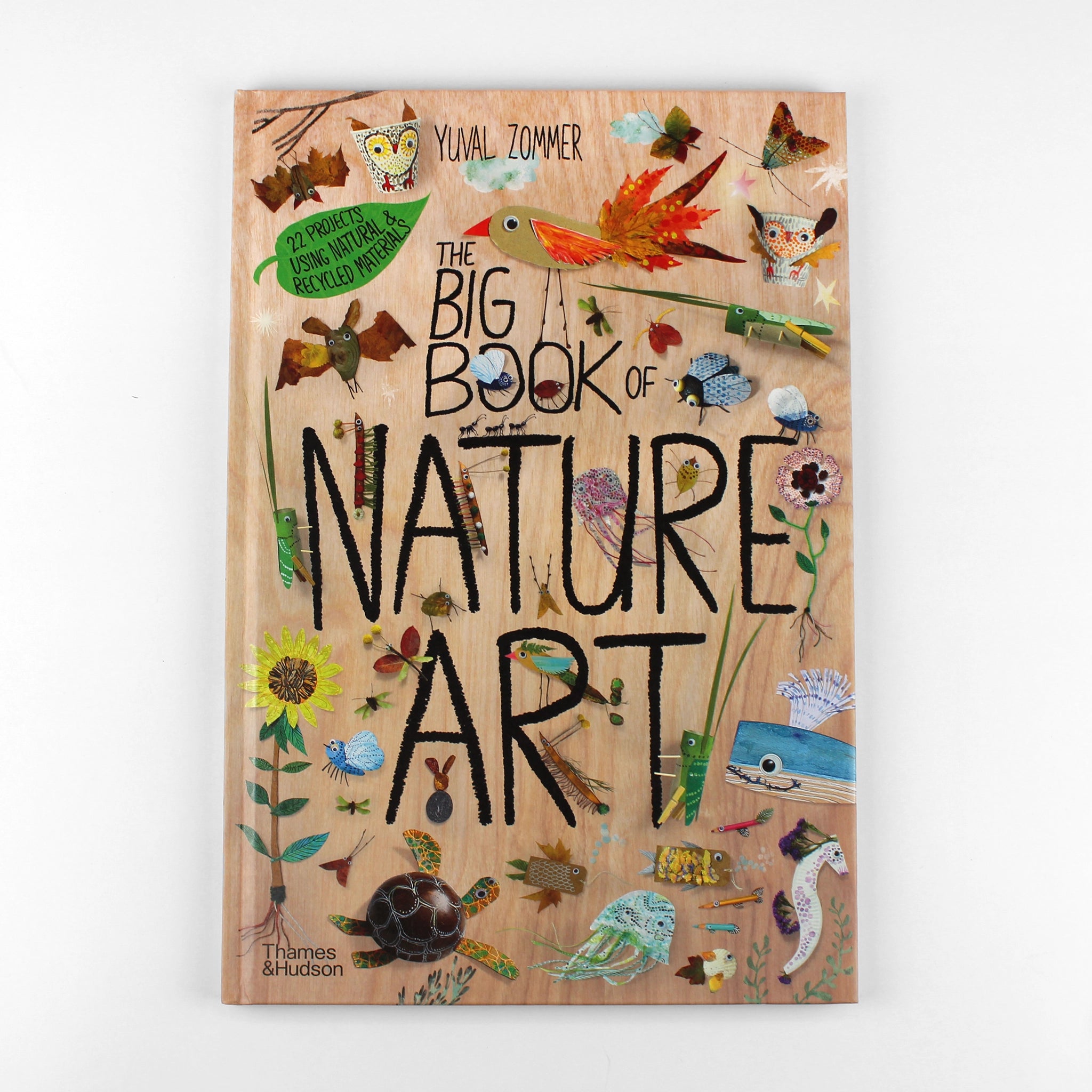 THE BIG BOOK OF NATURE ART – HOTA Shop